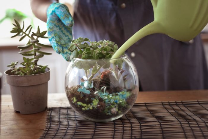 How to Build the Perfect Spooky Graveyard Terrarium [DIY Tutorial]
